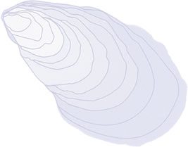 oyster-logo-wellfleet-whitebg-1 | Wellfleet Chamber of Commerce